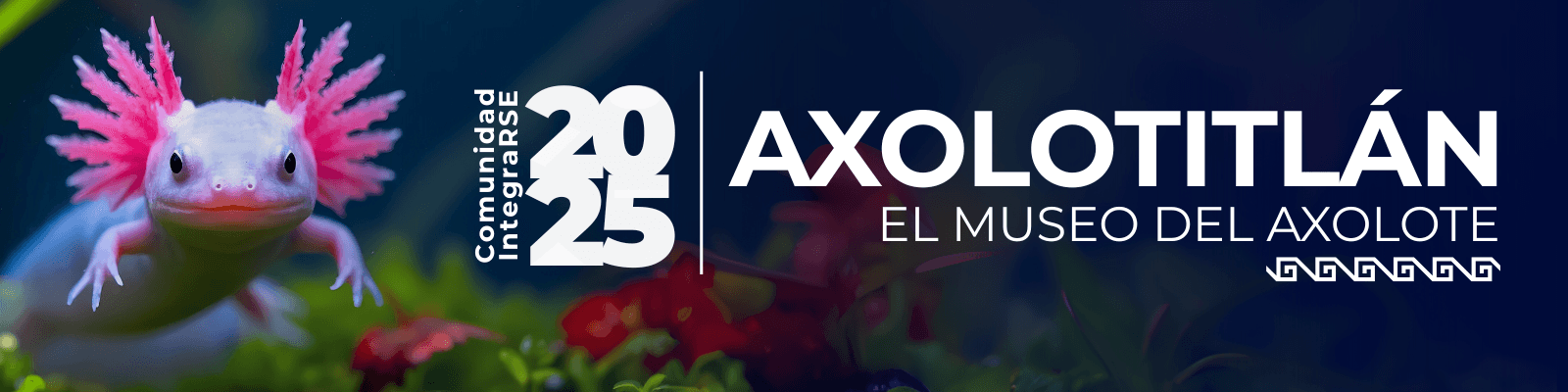 Registro | Visita al Museo del Axolote - IntegraRSE